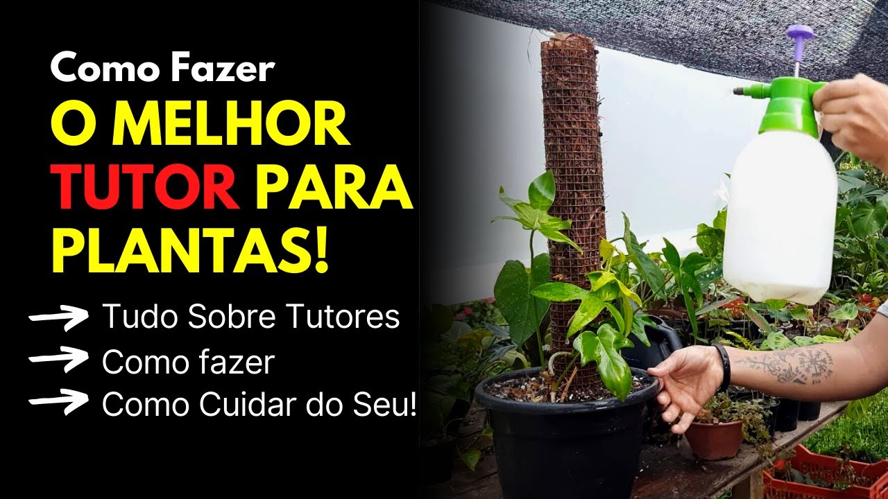 Como Fazer TUTOR PARA PLANTAS!! O Melhor e Mais Bonito Tutor! - Allef ...