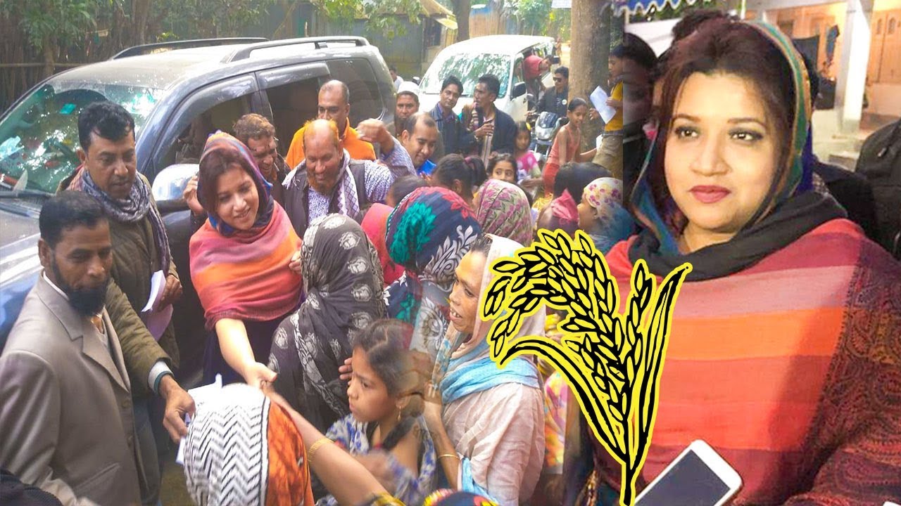 শামা ওবায়েদ ধানের শীষের জন্য গ্রাম থেকে শহর চষে বেড়াচ্ছেন! | Shama ...