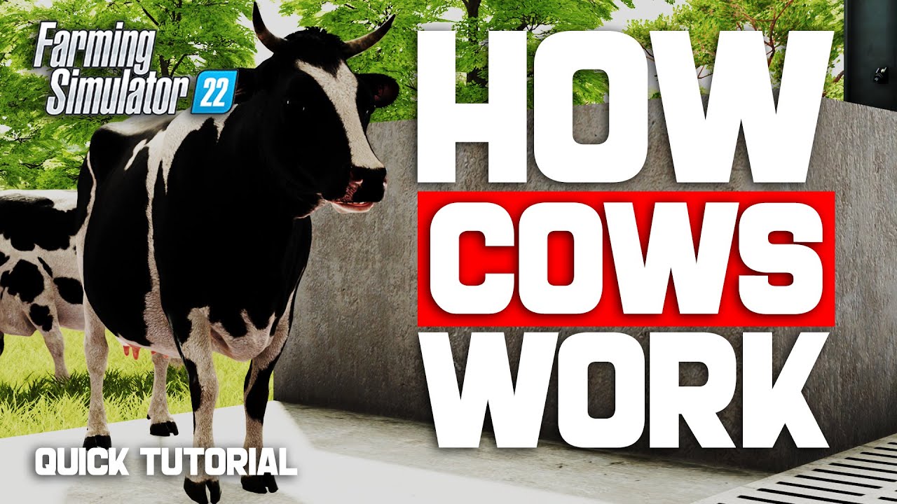 How COWS Work In Farming Simulator 22 (QUICK TUTORIAL) - YouTube