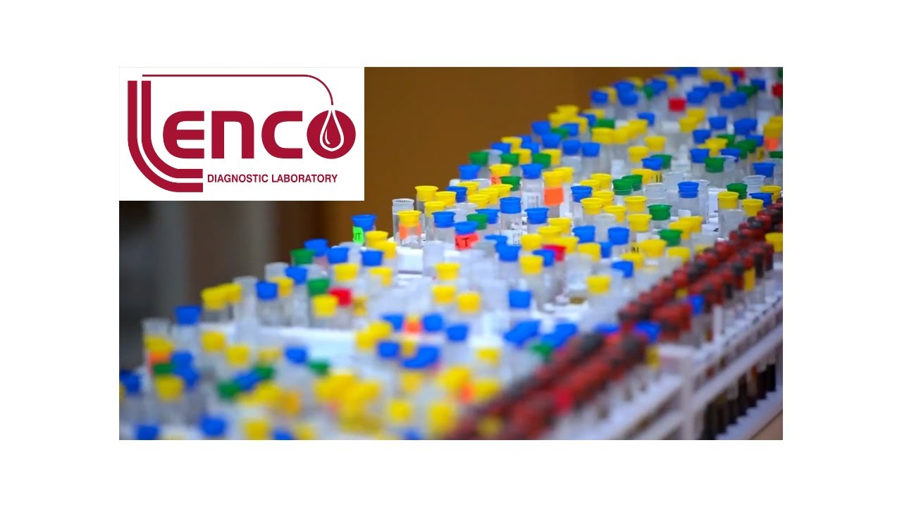 Lenco Diagnostic Laboratory - YouTube