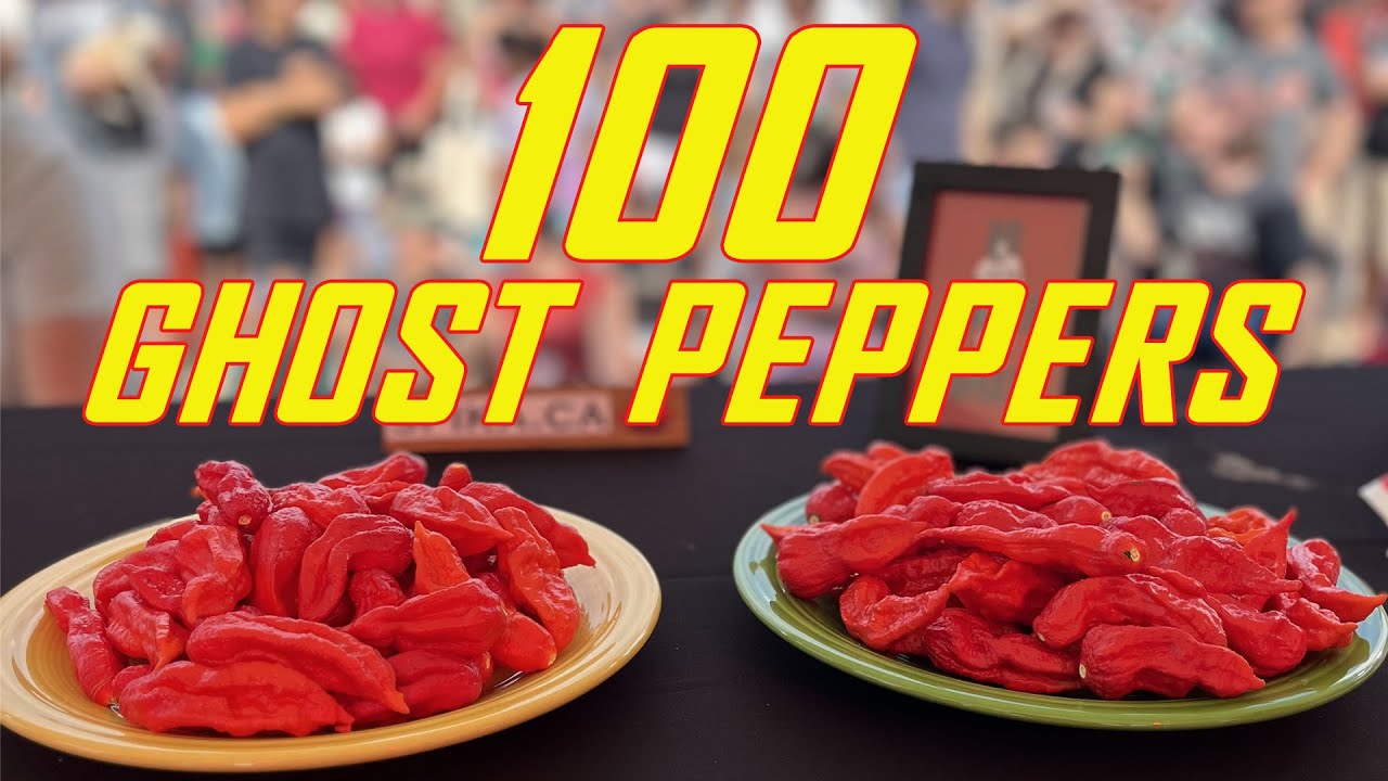 Guinness World Records! 100 Ghost Pepper (Bhut Jolokia)! Guinness World ...
