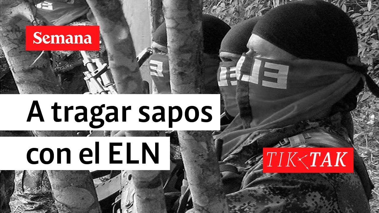 A tragar sapos con el ELN | Tik Tak - YouTube