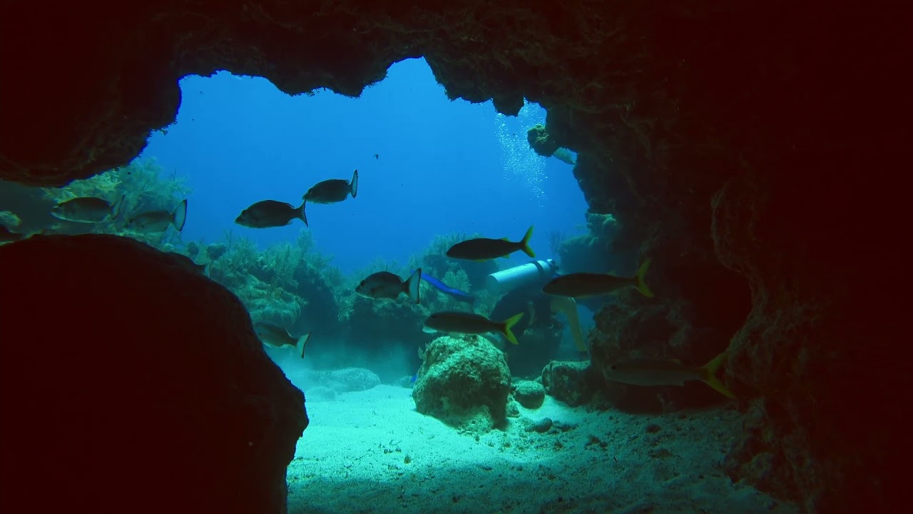 Key Largo French Reef pass through - YouTube