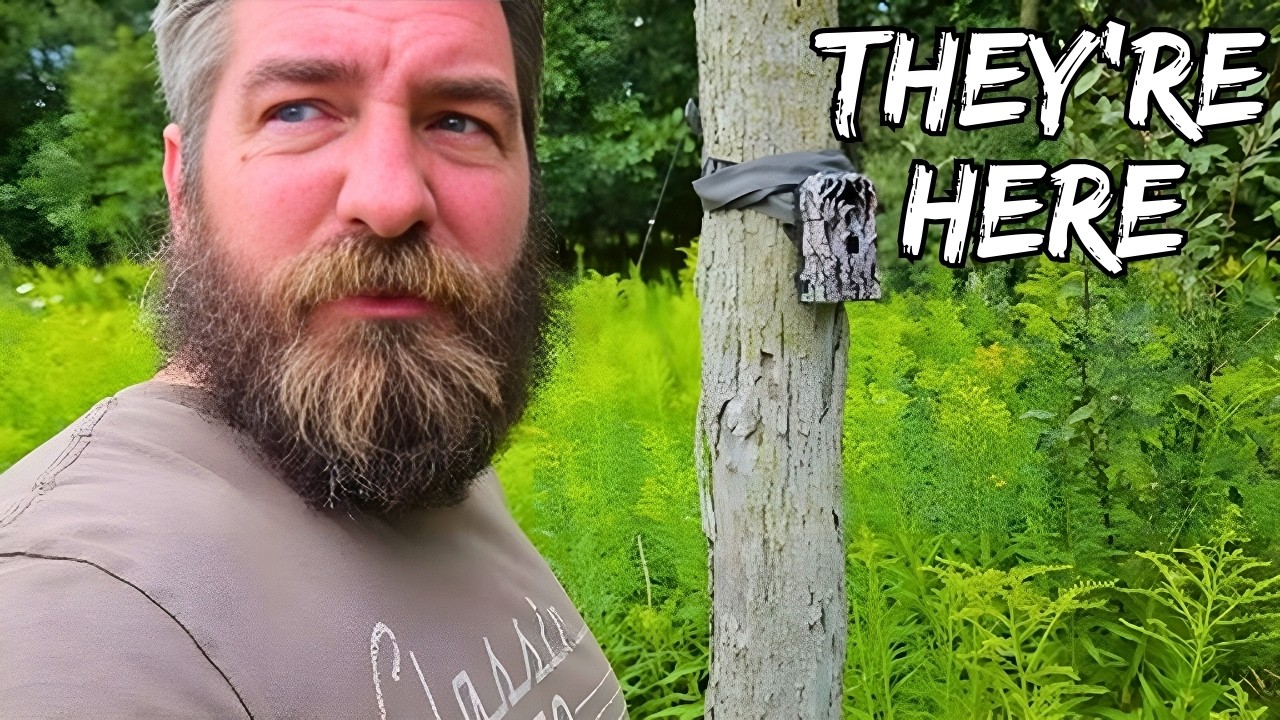 T-Minus 6 Weeks | Checking Trail Cams Before the Start of Hunting ...