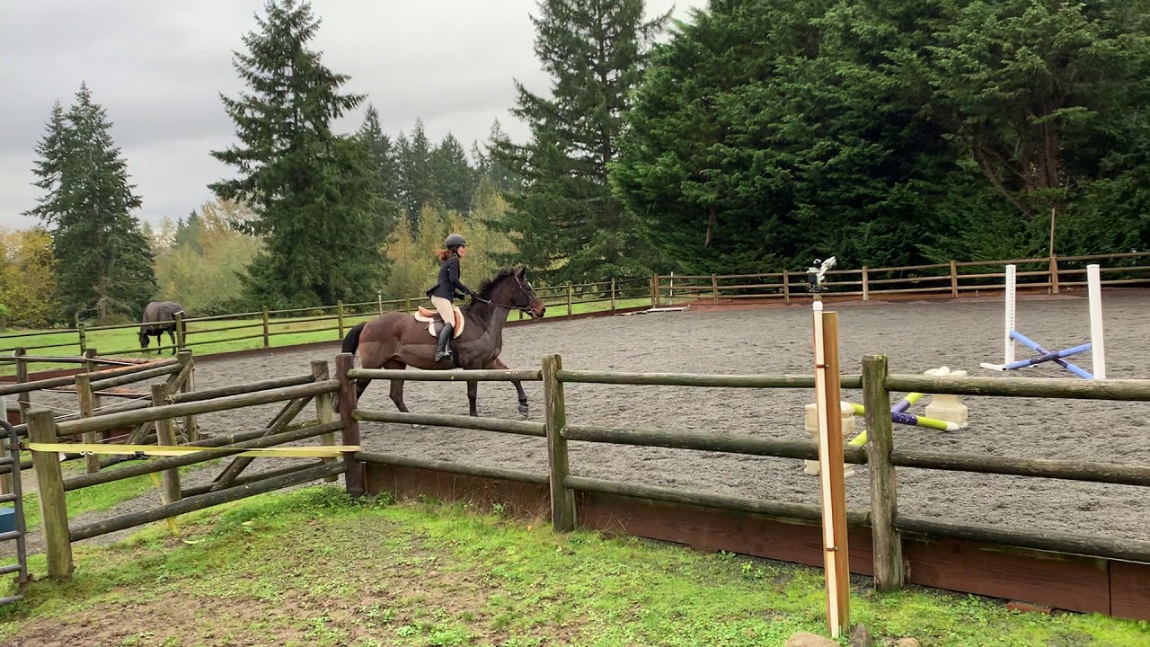 Hunter over fences - YouTube