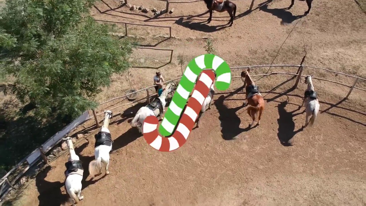 Herghelia Cerna-Tulcea - YouTube