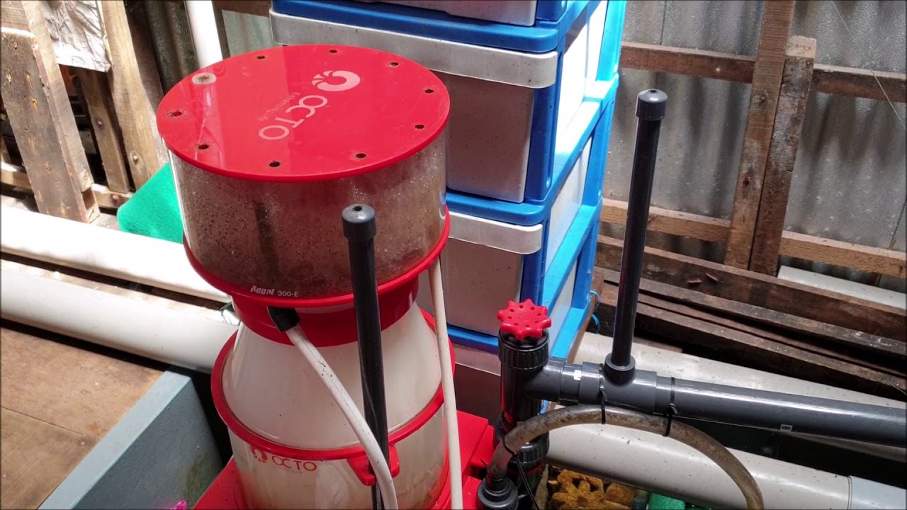 Innovative Soft Shell crab farm in Malaysia! - YouTube