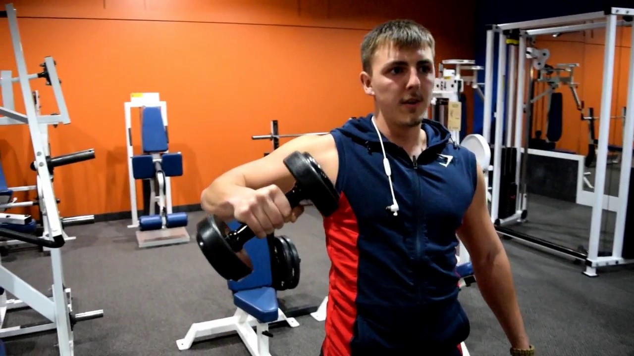 Basic Beginner Shoulder Workout [Reps2Reality] - YouTube