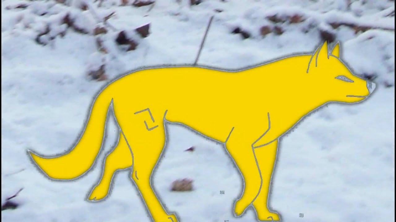 Wolf Walk Cycle - 2nd animation - YouTube