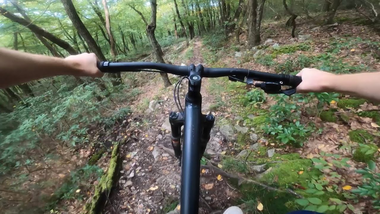 Old Laurel Run Trail First MTB Attempt - Rothrock State Forrest, PA ...
