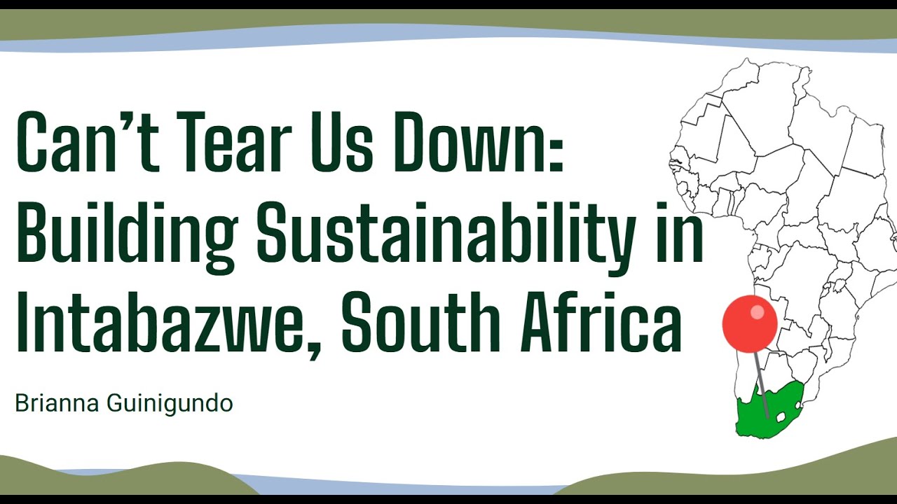Can't Tear Us Down: Building Sustainability in Intabazwe, South Africa ...