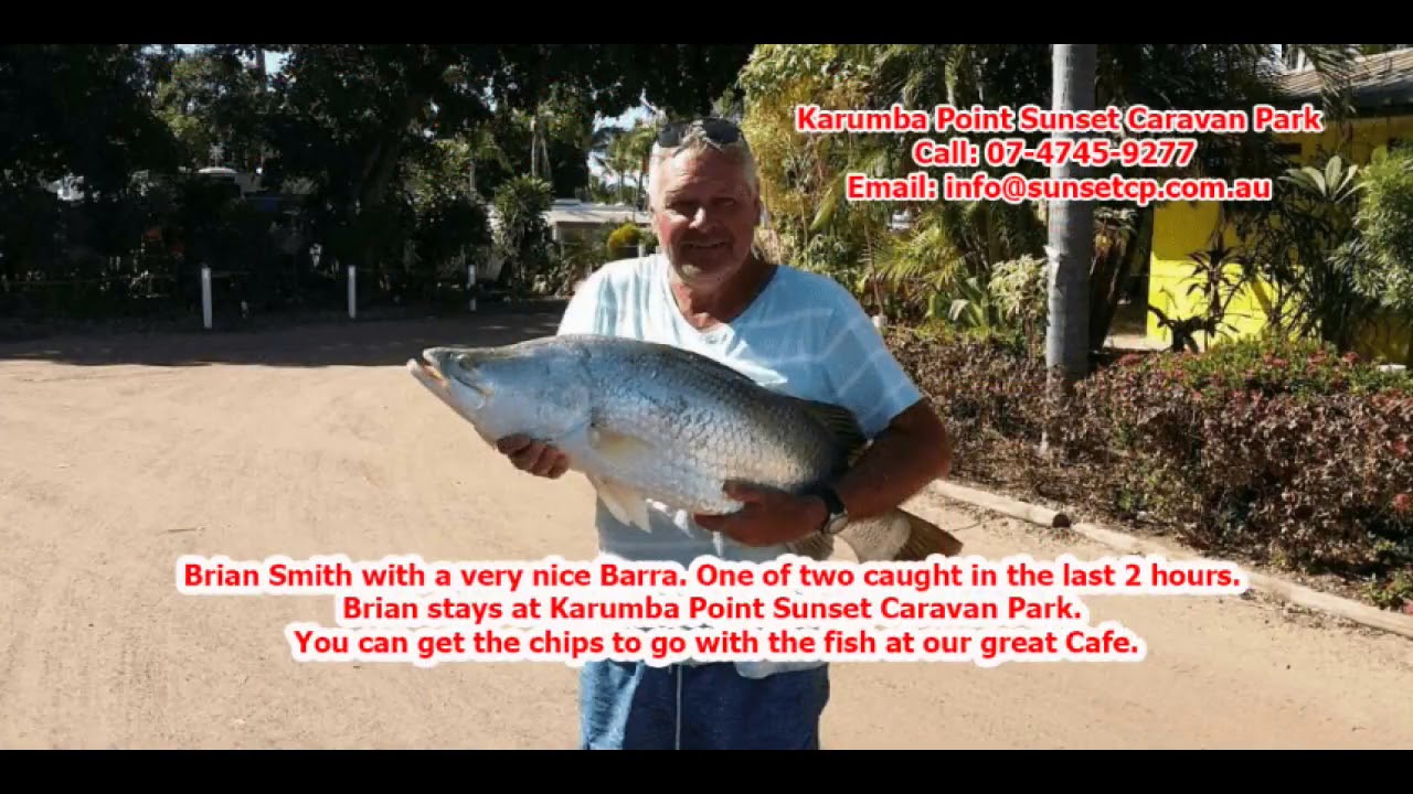 Incredible Fish Caught in Karumba Qld Australia New Les Wilson ...