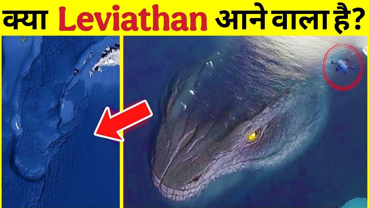 Mysteriously DEEP-SEA Creatures Coming To Surface I Is Leviathan Real? - YouTube