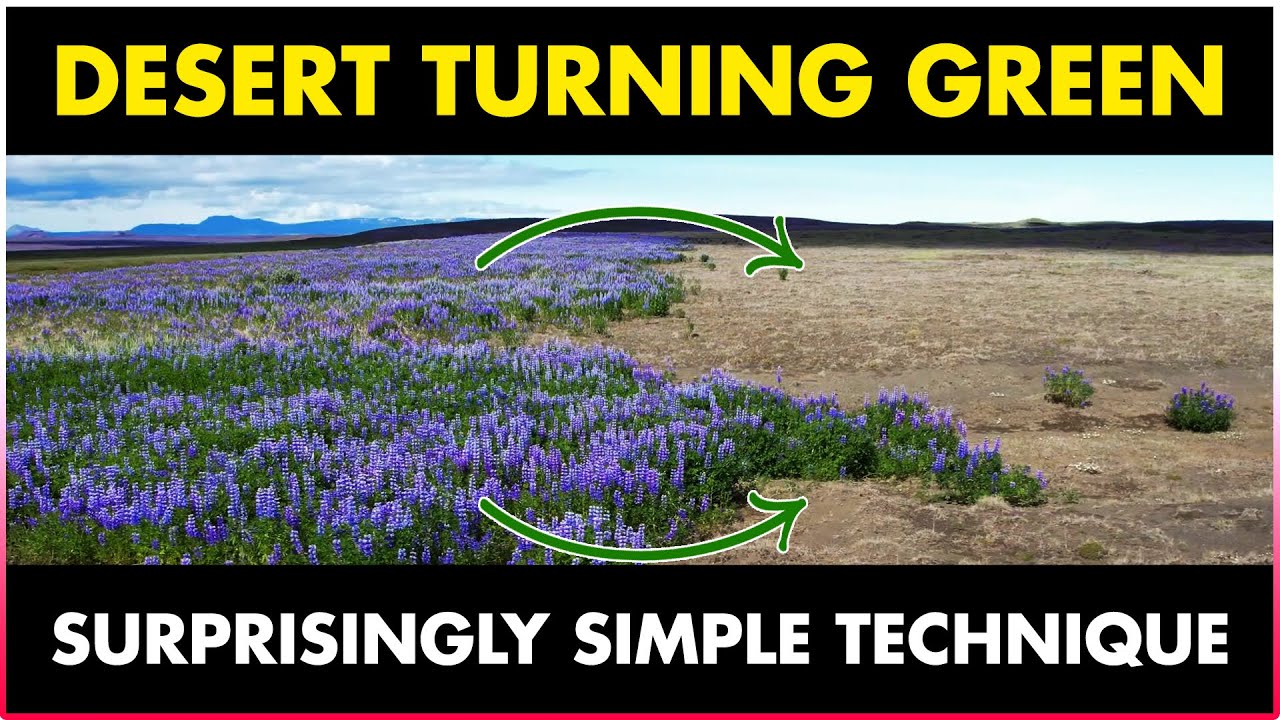 Why Iceland Deserts Turning Green..? The surprisingly simple technique ...