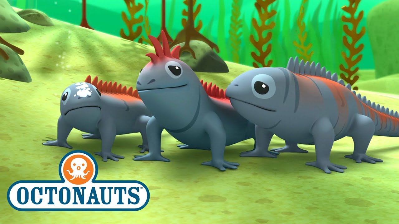 @Octonauts - The Marine Iguanas | Full Episode 41 | @Kidzuko - YouTube