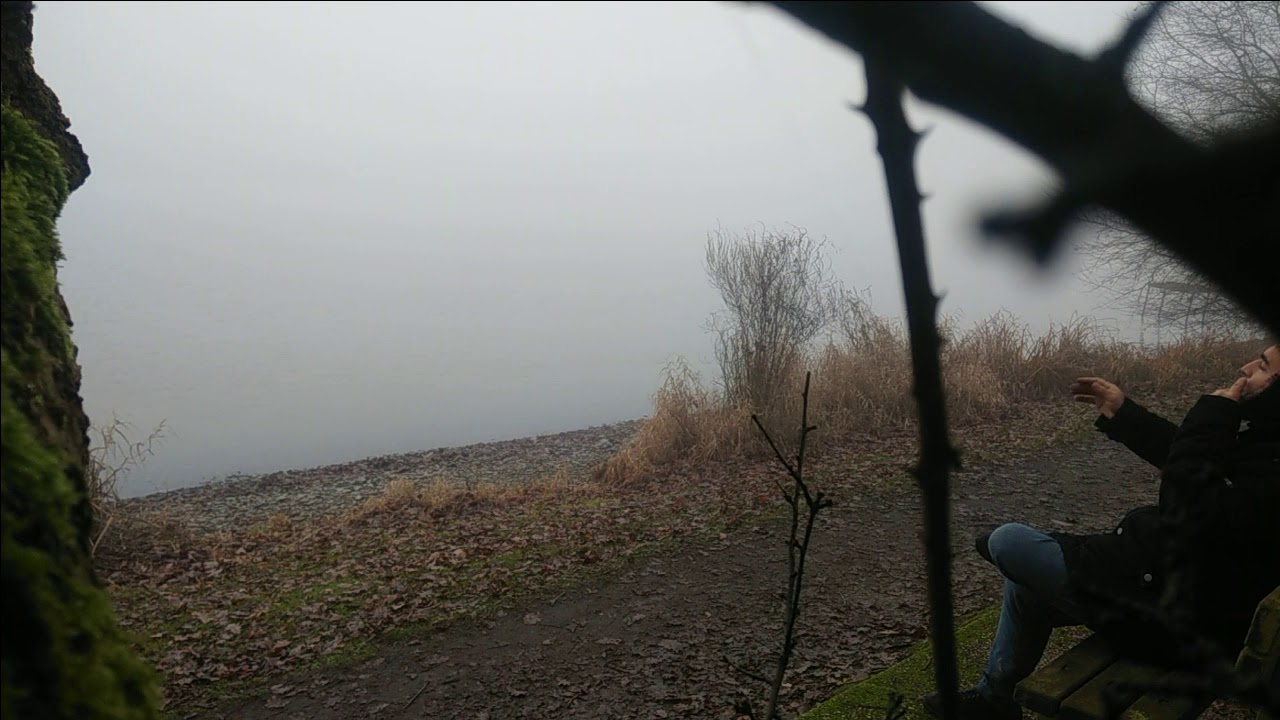 jaw arp | jewish arp | trump | gewgaw | kumuz | ağız kopuzu | Хомус ...