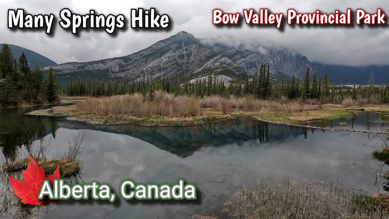 Many Springs Hike in Bow Valley Provincial Park - YouTube
