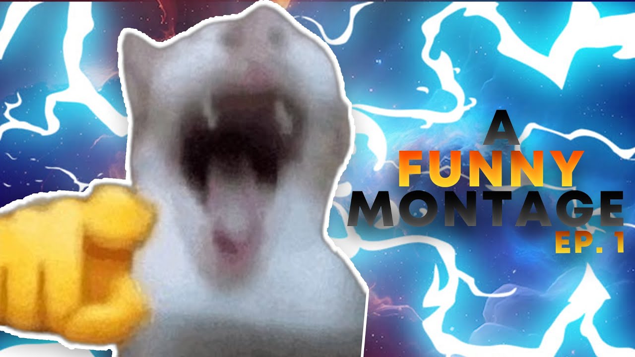 a funny montage - YouTube
