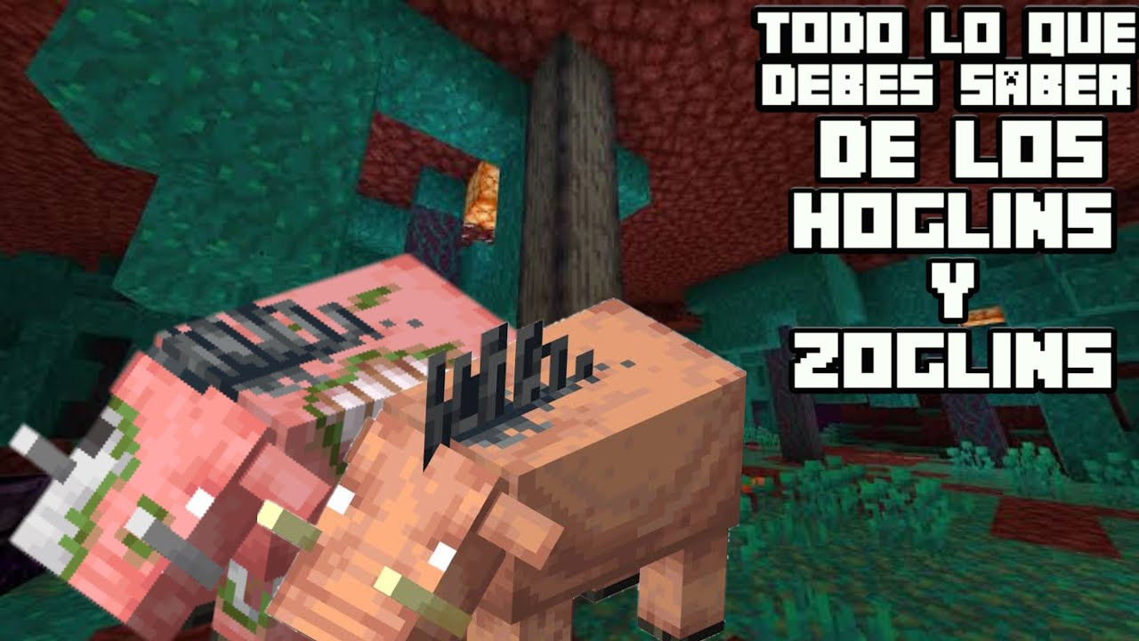 👉Todo lo que debes saber de los Hoglins y Zoglins!!👈😱🐗 Minecraft 1.16🔥 ...