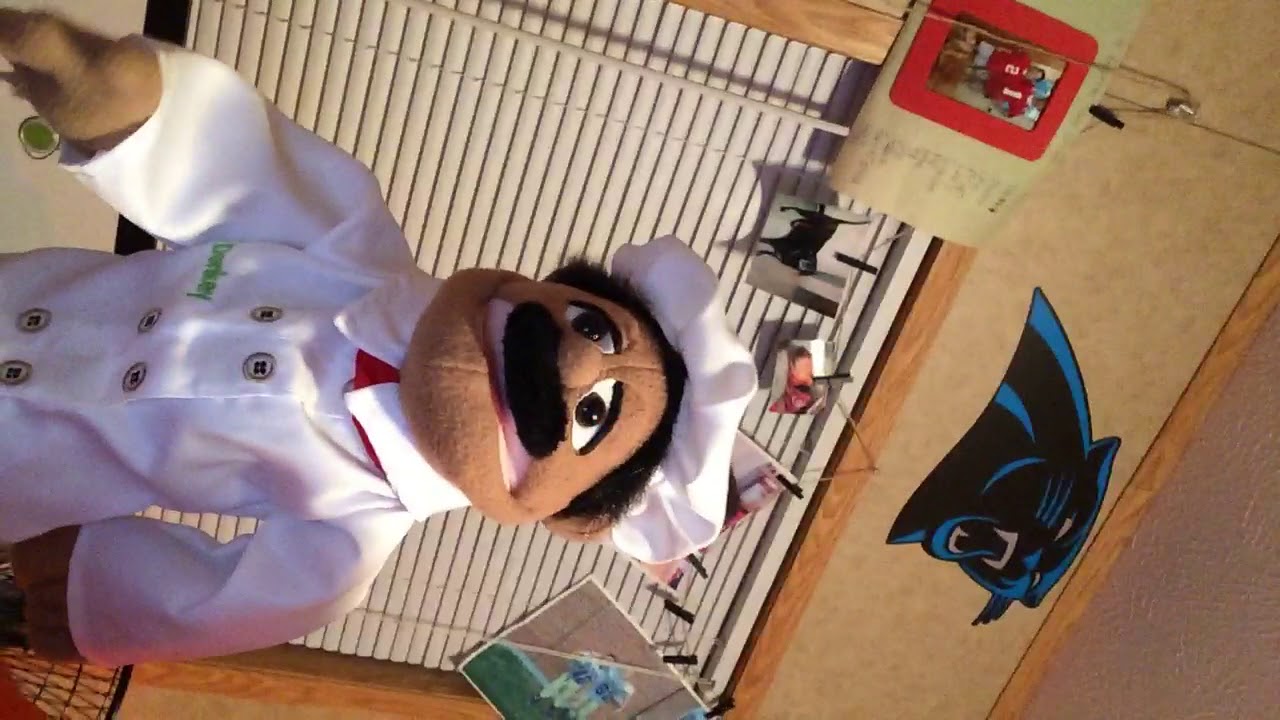 Chef donkey - YouTube