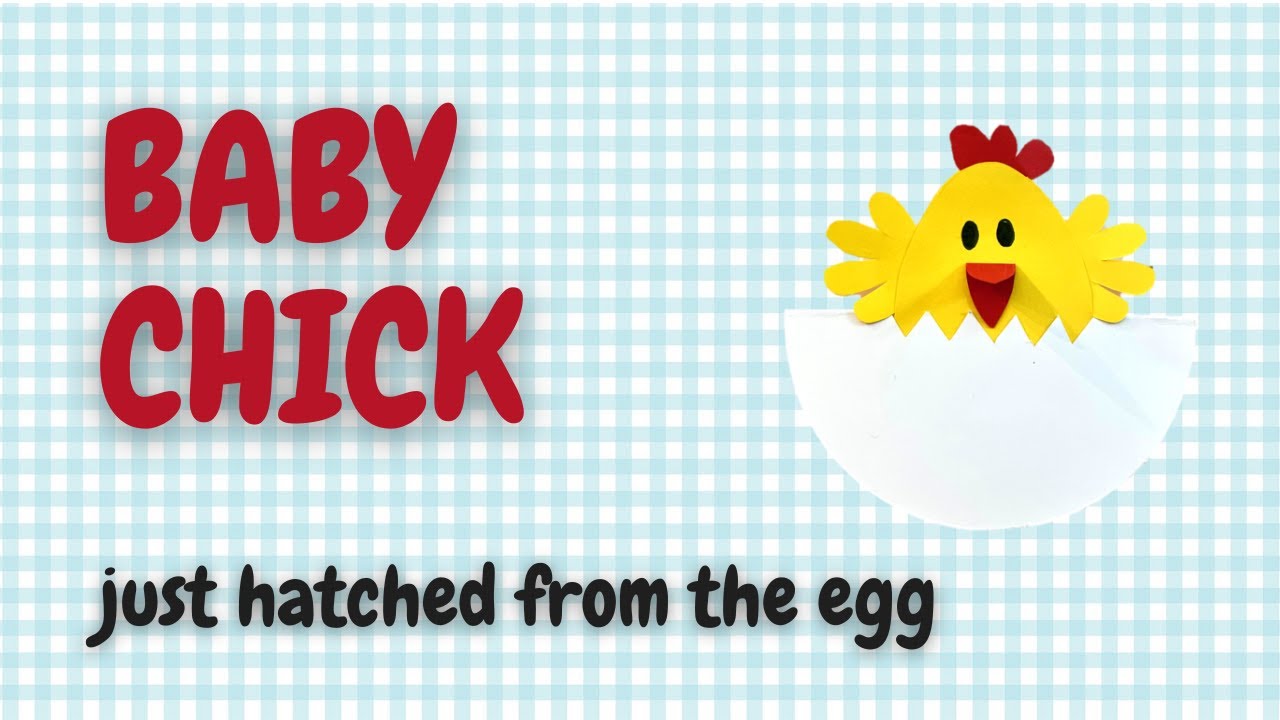 Make a paper baby chick hatching from the egg - YouTube