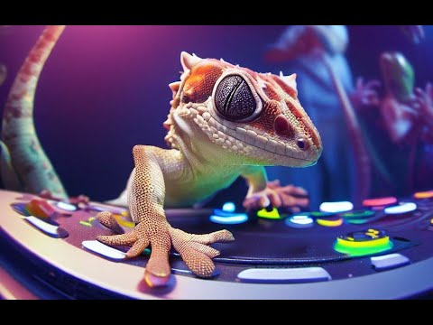 Positive Dance Music and Nightlife Crested Geckos 2023 | Night vision ...