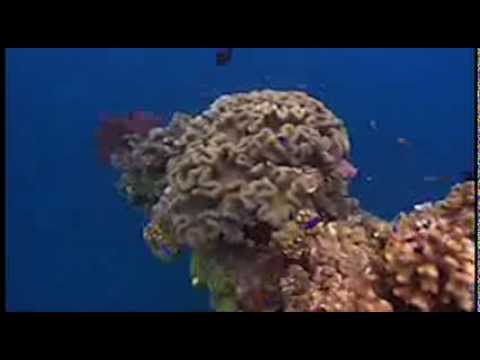 National Geographic: Truk Lagoon, Micronesia (music by Carter Larsen ...