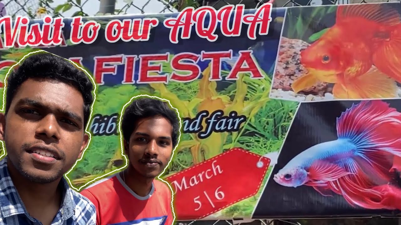 Visit to Aquatic Fish Exhibition in Hatton | ST - YouTube
