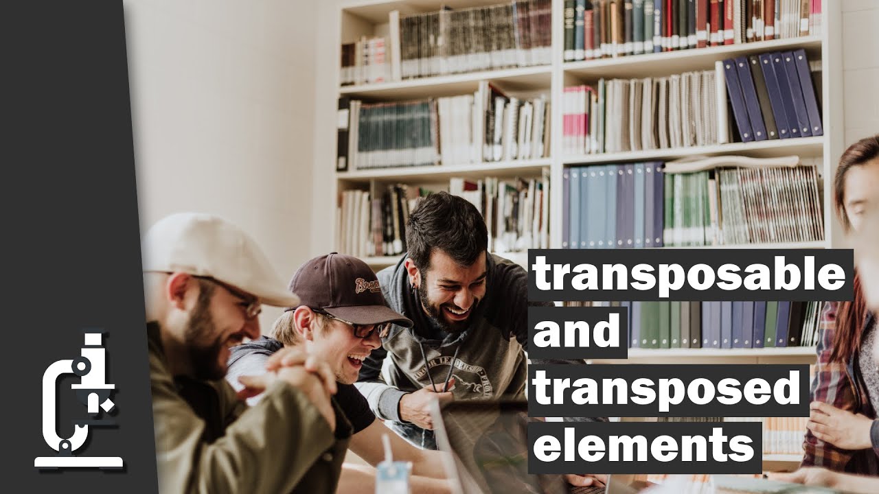 Role of transposons in brain and learning processes | Dr. Peter Borger ...