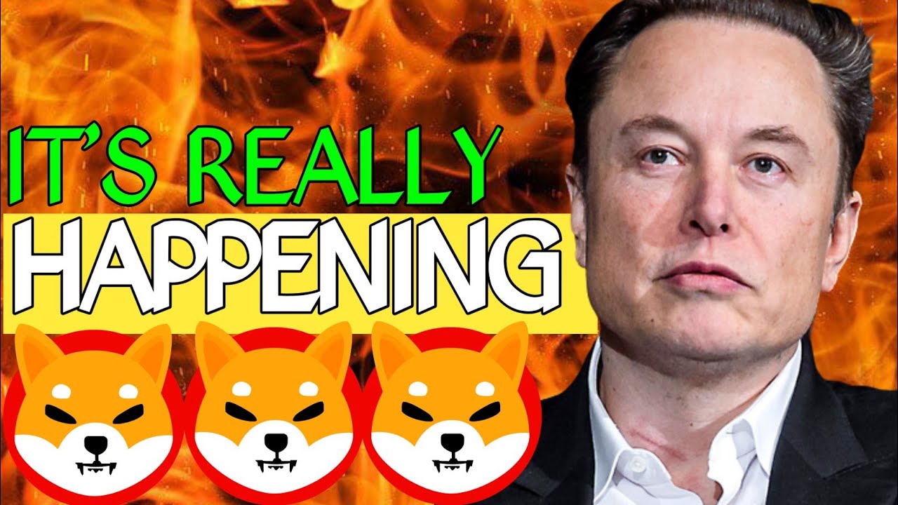 SHIBA INU CEO'S LAST WARNING TO ALL HOLDERS SHIB NEWS TODAY SHIBA PRICE ...