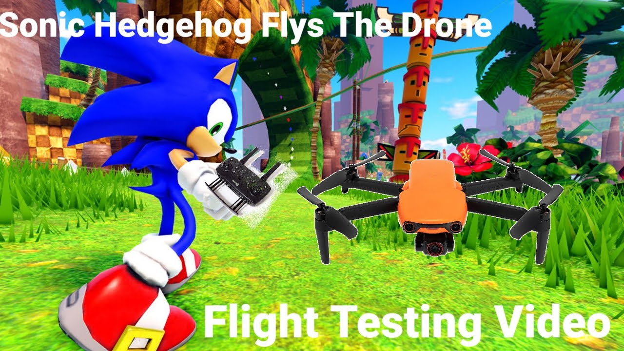 Sonic Hedgehog Flying Drone & Testing (Drone Flight Test) - YouTube