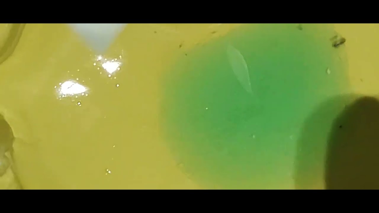 GOLDEN MUD GOLD POWDER REFINED GOLD PERCIPIENT - YouTube