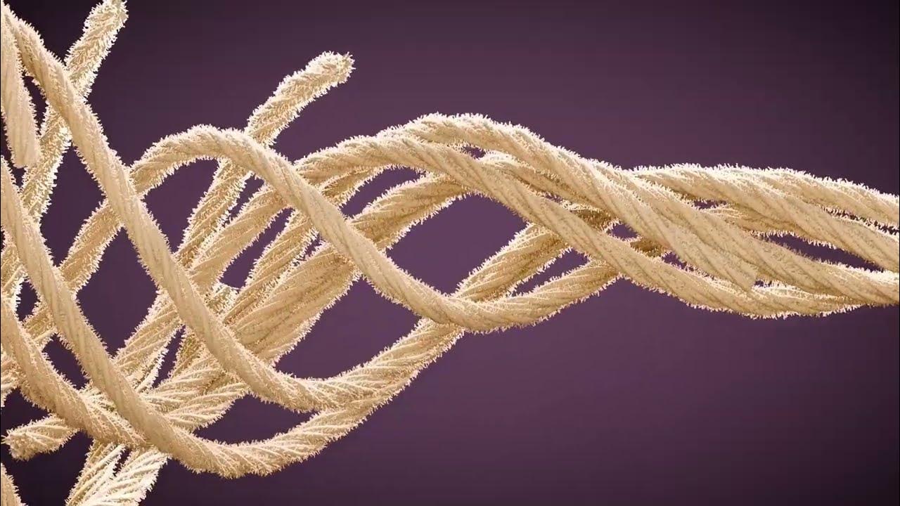 [Noding] Hairy Rope/Fiber Flow - Blender Geometry Nodes 4.0 - YouTube