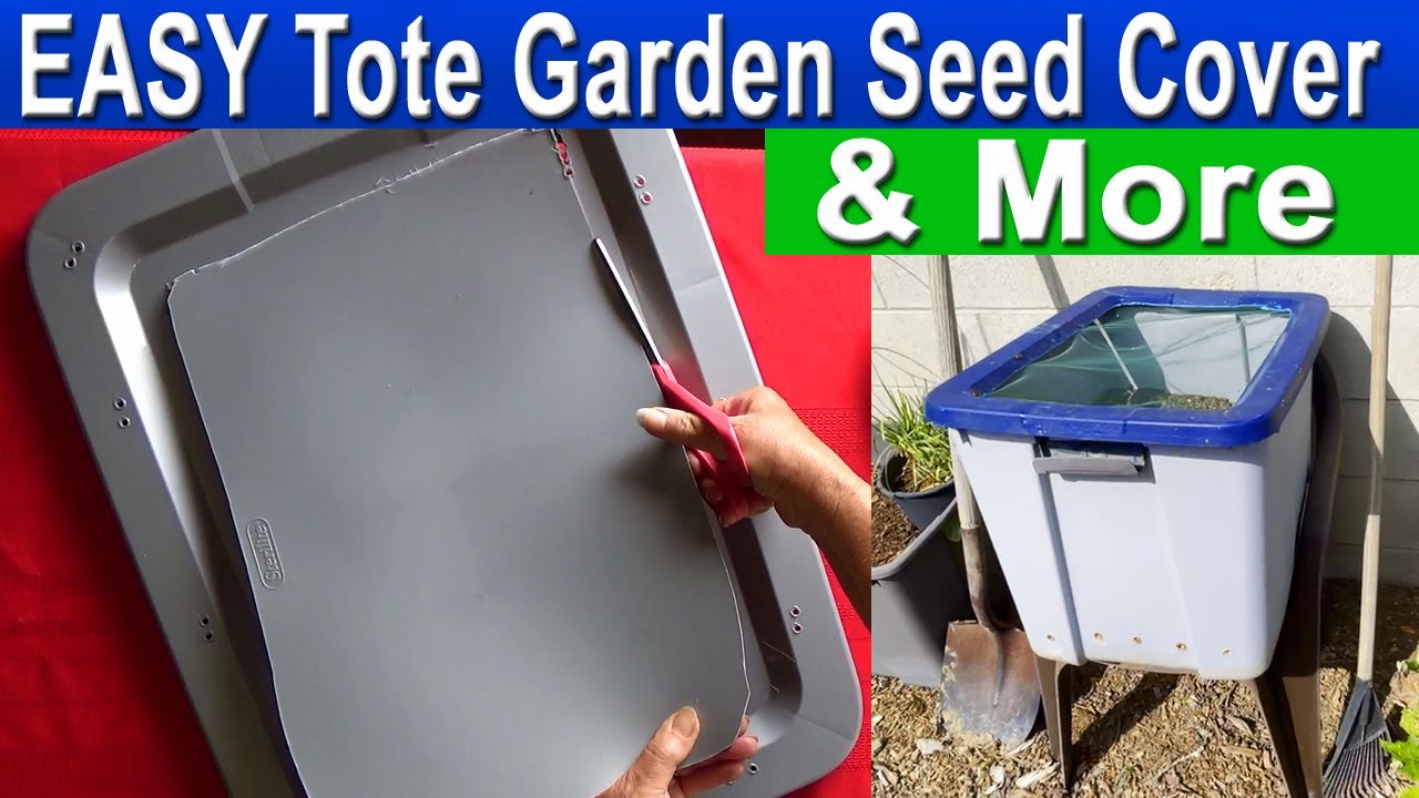Mini Green House Garden Seed Cover for Seedlings Using Tote Lids ...