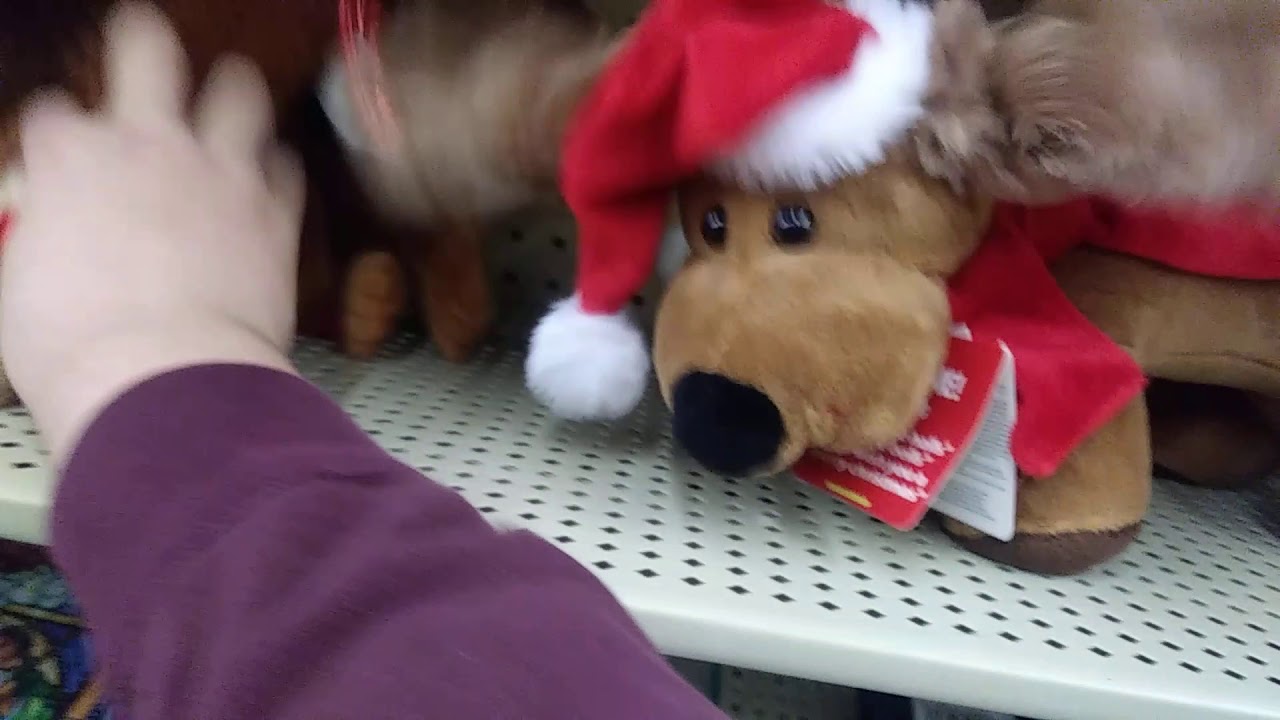 DanDee Ear Flapping Dog - YouTube