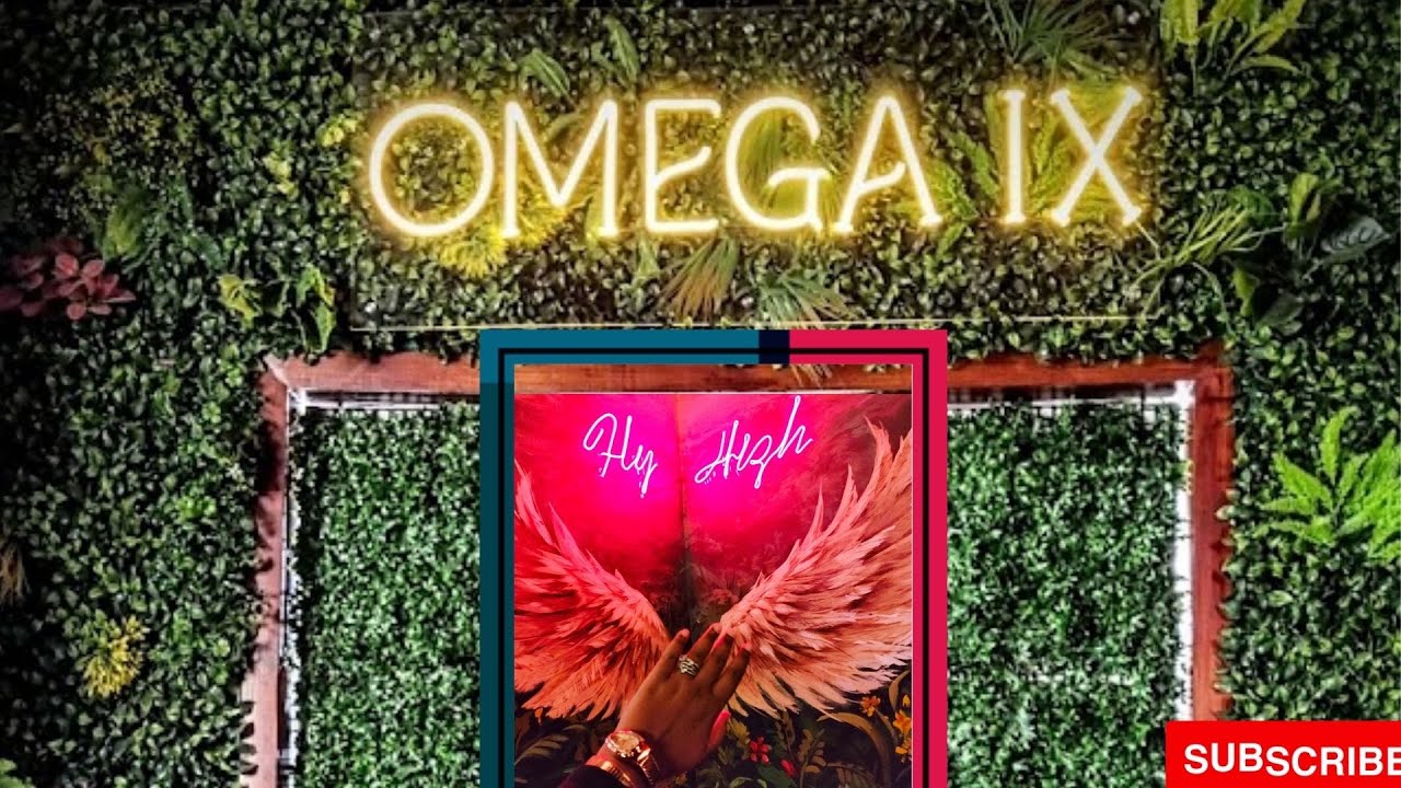 OMEGA IX || New Alert Cocktail bar & global kitchen || New place opened ...