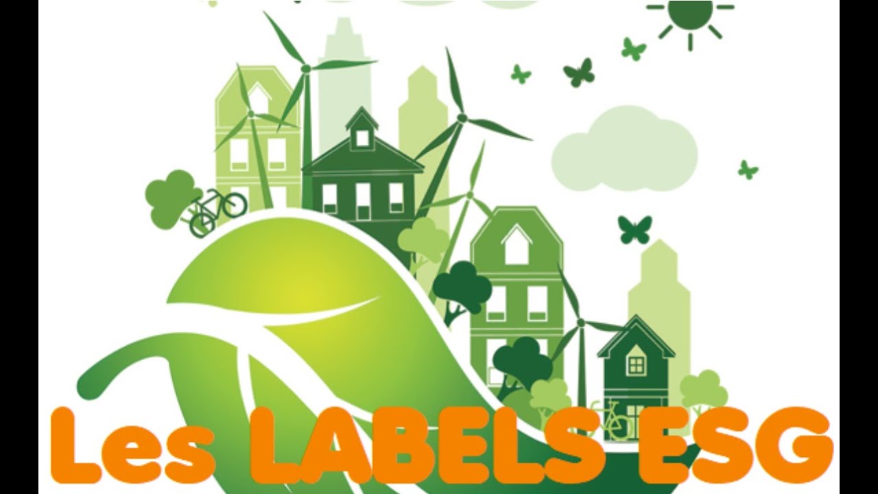 Les Labels ESG | Scout en Bourse - YouTube