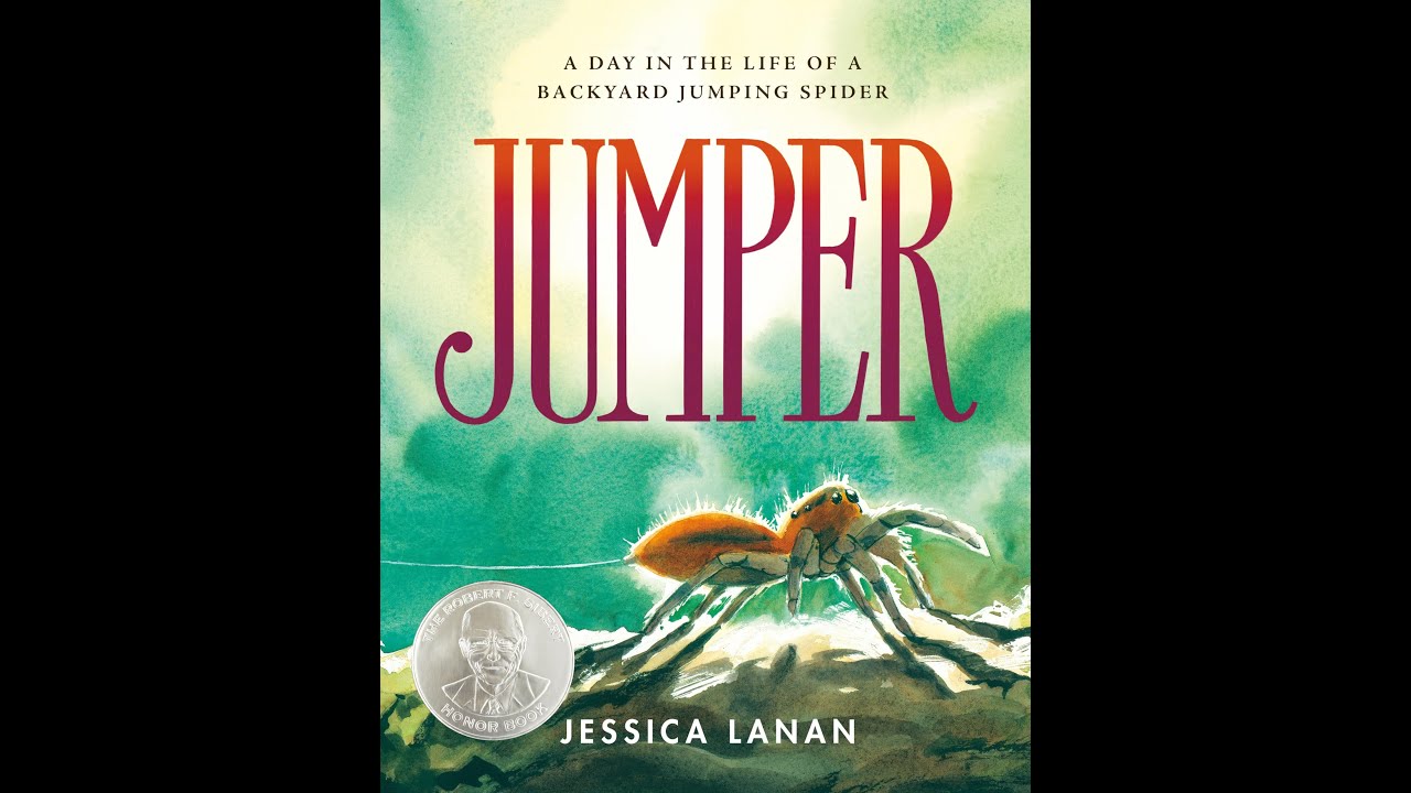 Jumper: A Day in the Life of a Backyard Spider by Jessica Lanan - YouTube