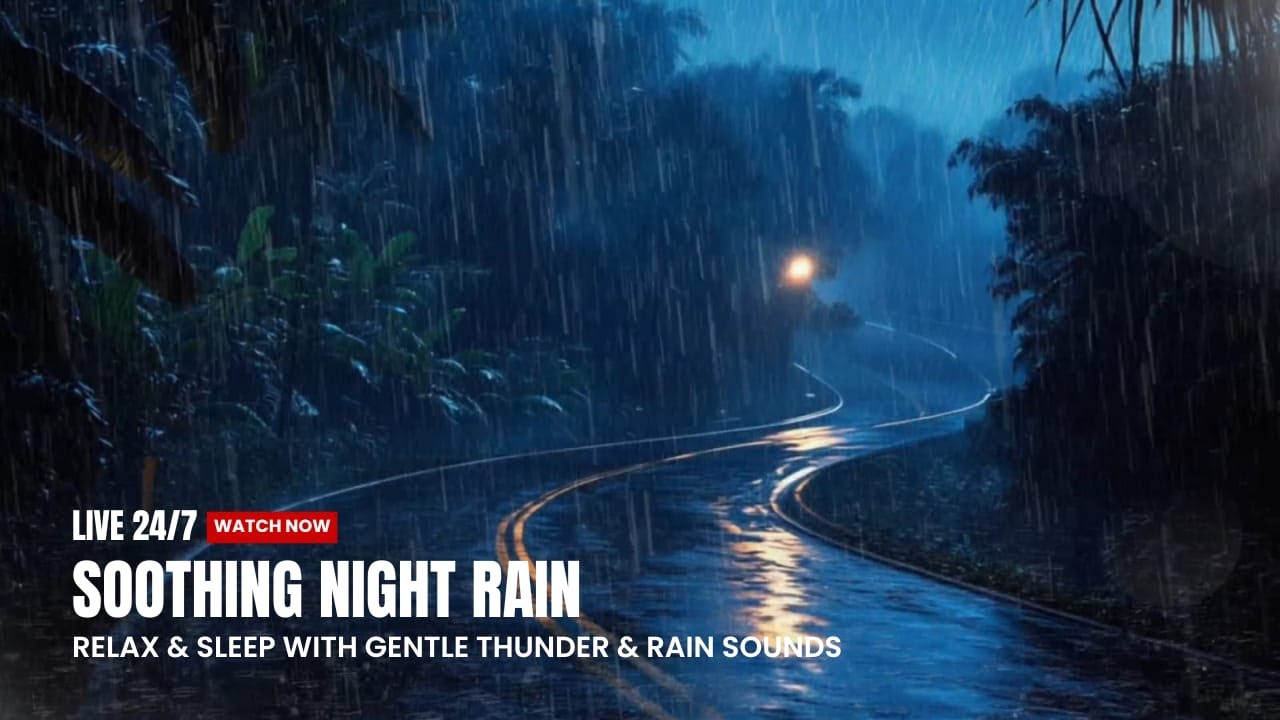 Soothing Night Rain 🌧️ | Relax & Sleep with Gentle Thunder & Rain ...