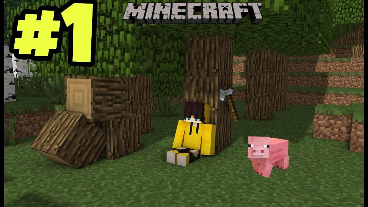 The new beginning of Minecraft || I am back || NoobNainaMC - YouTube