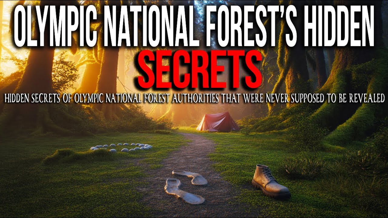 15 Creepy Disappearances in the Olympic National Forest Authorities Can ...