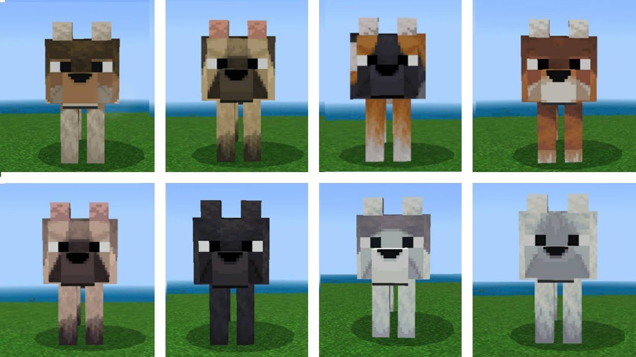 TYPES OF WOLFS IN MINECRAFT Snowy Spotted Stripped Black Rusty Ashen ...