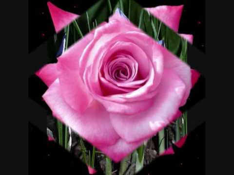 Yeni  ilahi Seyda  Gulamini   Seyda Gülümsün   Hüseyin SANDIKLI