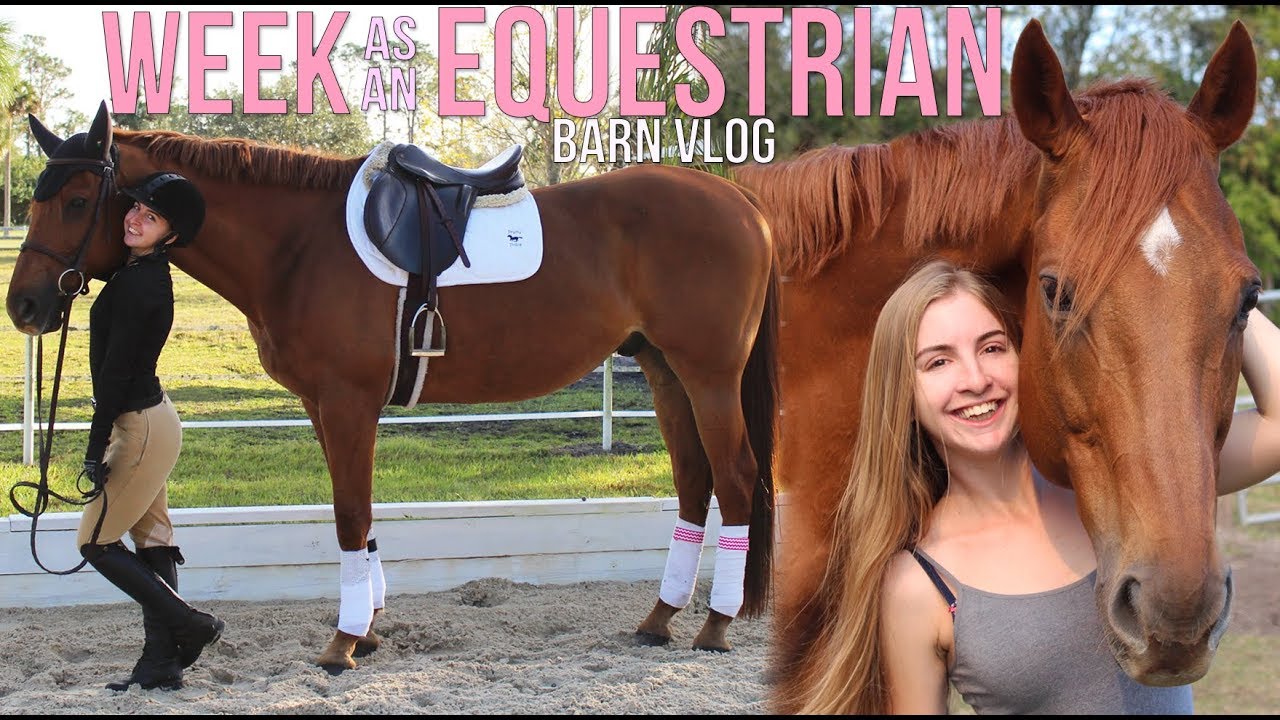 WEEK IN THE LIFE OF AN EVERY DAY EQUESTRIAN! - YouTube