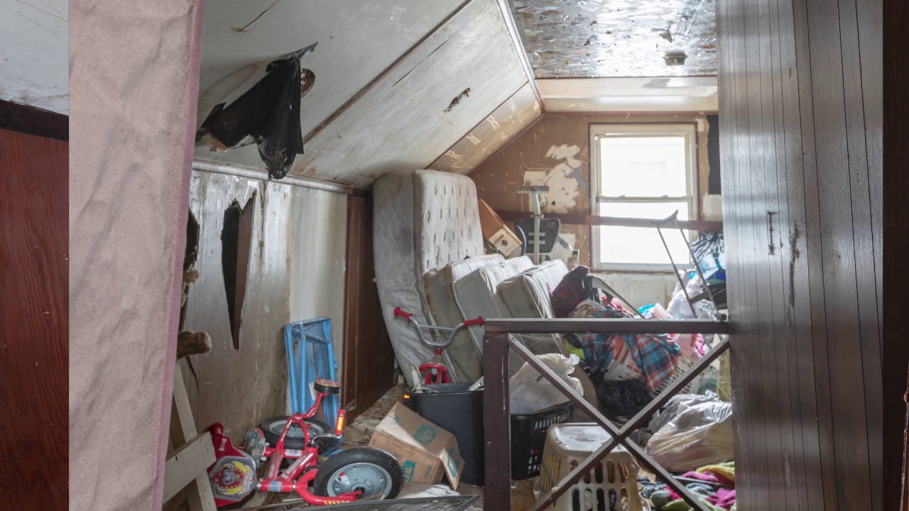 Pink Dumpster Rentals, Demolition, and Hauling - YouTube