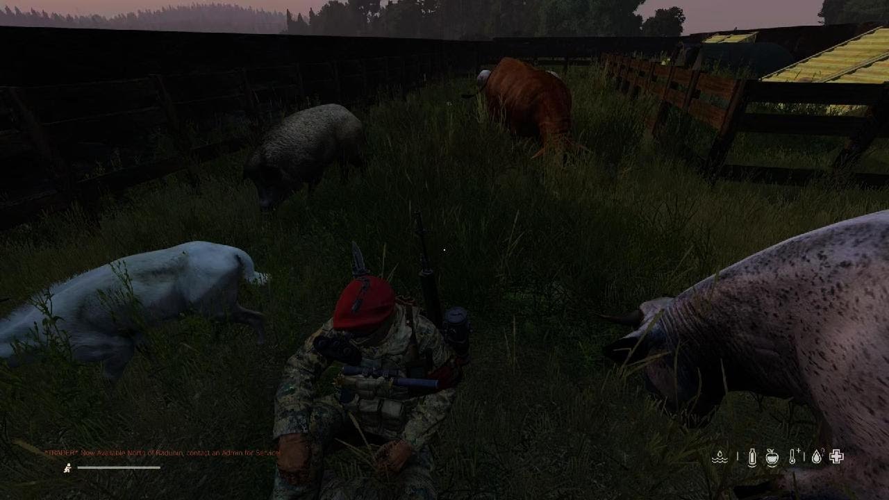 Barn Yard Animals...Got Me A Farm! (DayZ) - YouTube