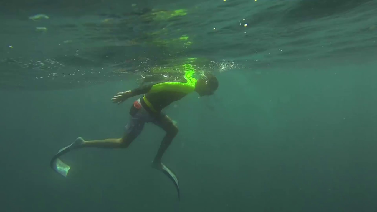 Freedive at The SS Antilla wreck, Aruba - YouTube