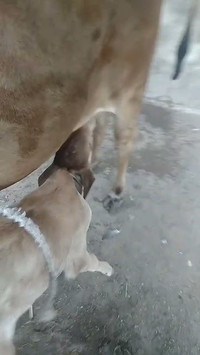 23 March 2025 - YouTube