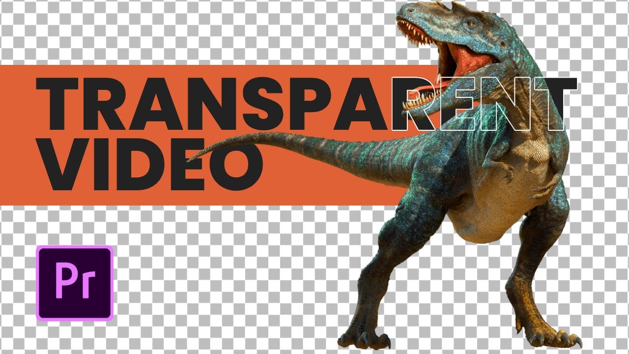 Export TRANSPARENT video in Premiere Pro - YouTube