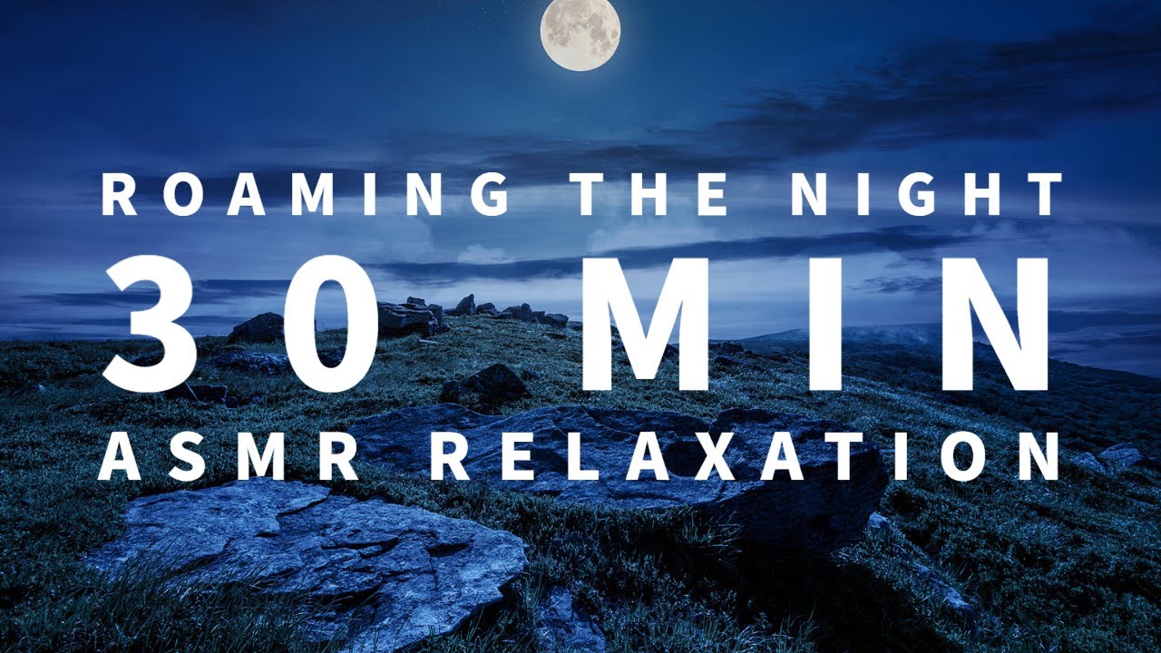 🎧 ROAMING THE NIGHT: 30 Minute Relaxation: EROTIC: DARK: NIGHT: SEX ...